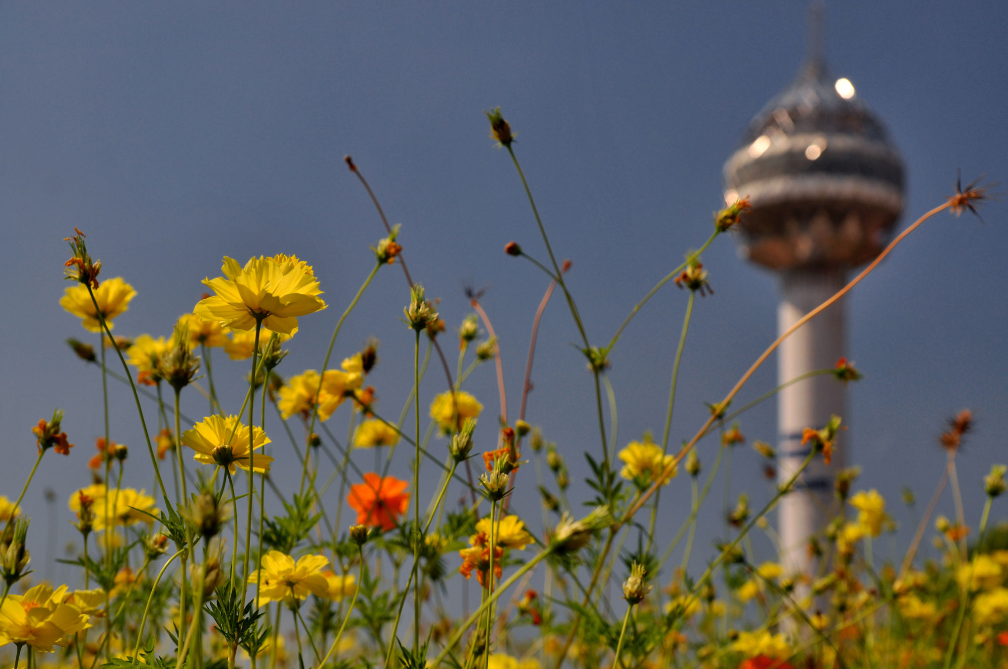 โครงสร้างและการบริหาร - สถานพัฒนาคณาจารย์
